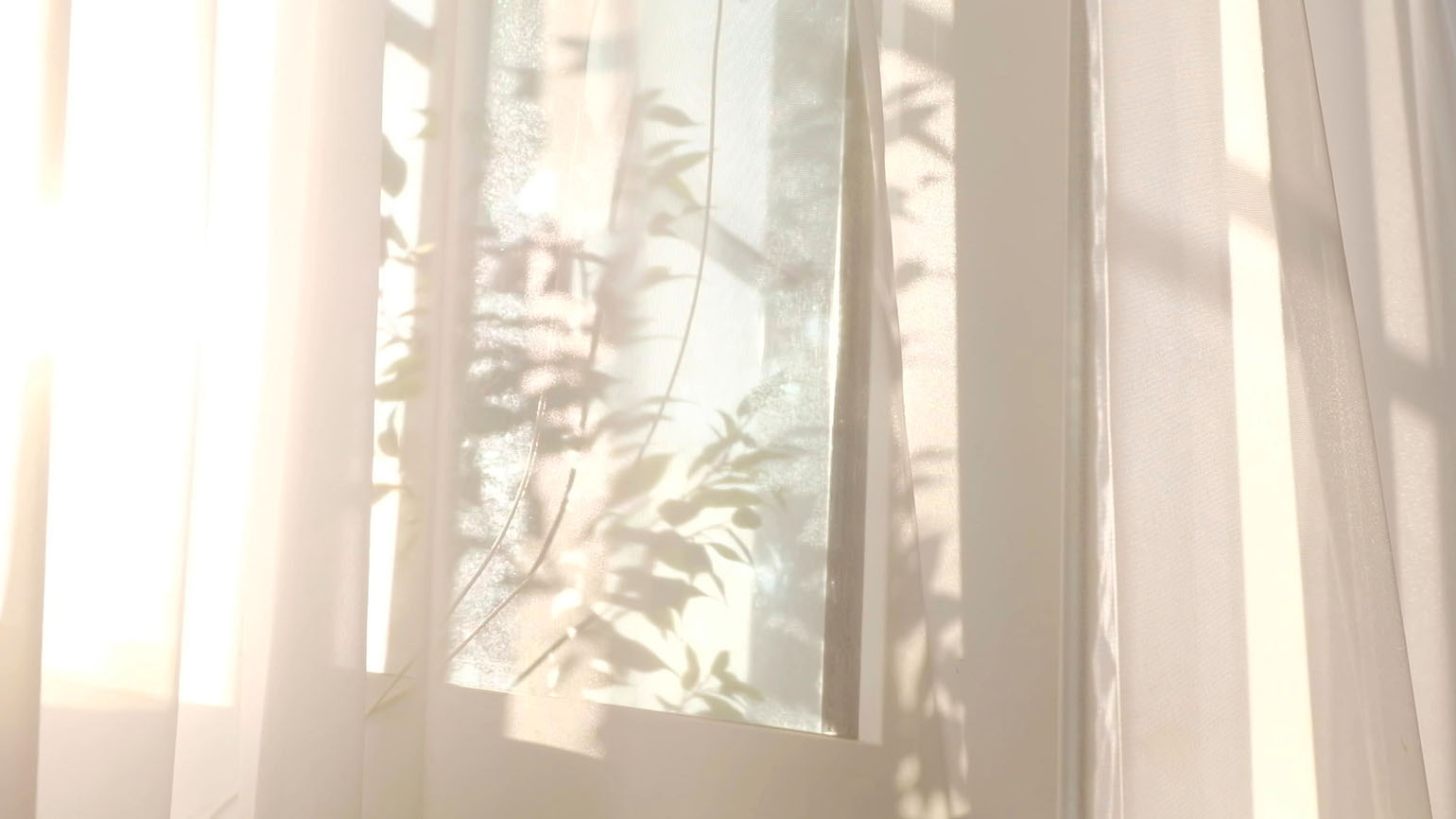Sharp Ears, Soft Hearts: A Daily Meditation | Abide